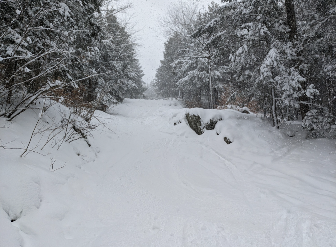 Hermon Mountain 3/4/2023 — Snowjournal 2.0