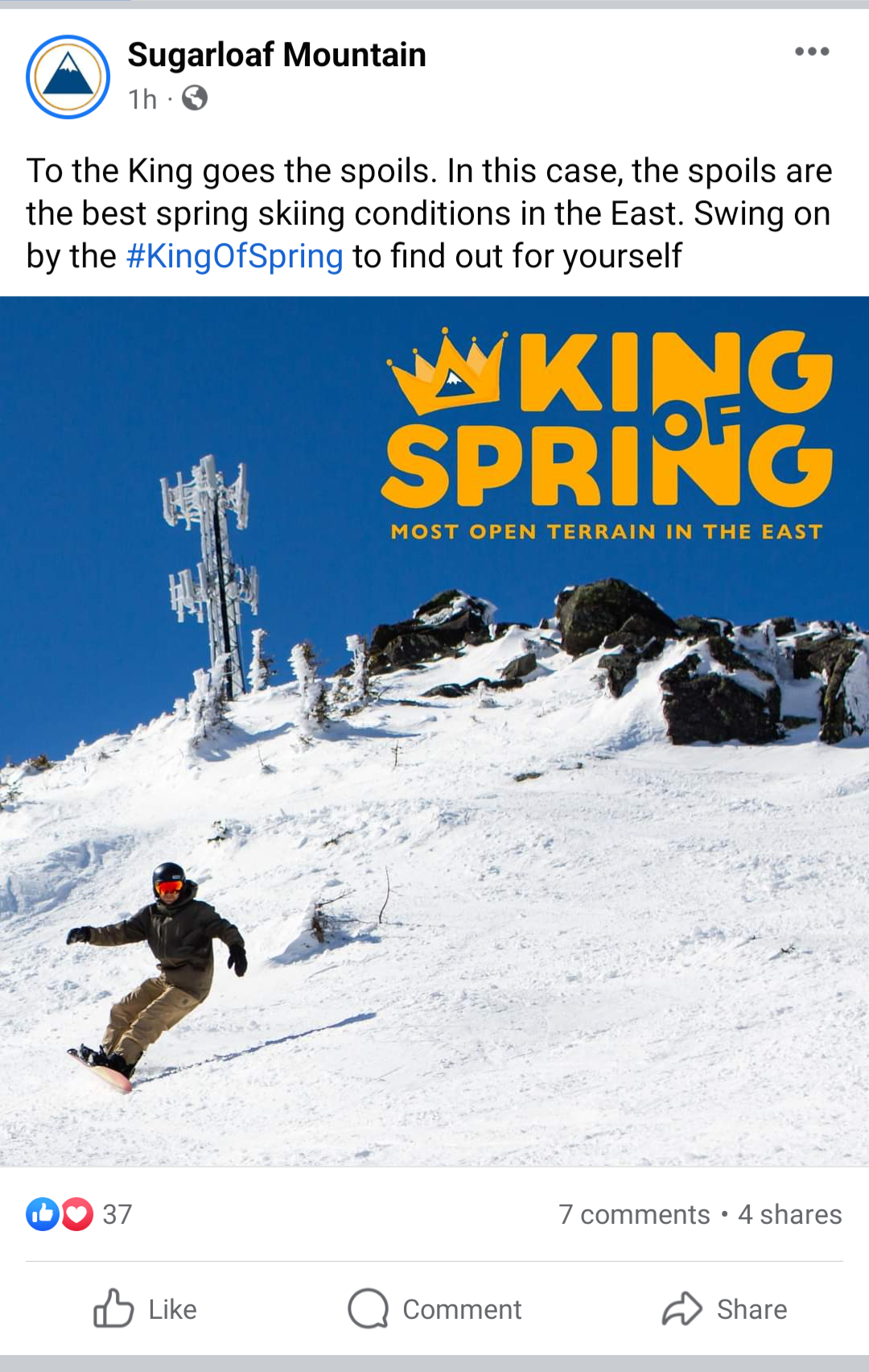 King of Spring - Snow Journal