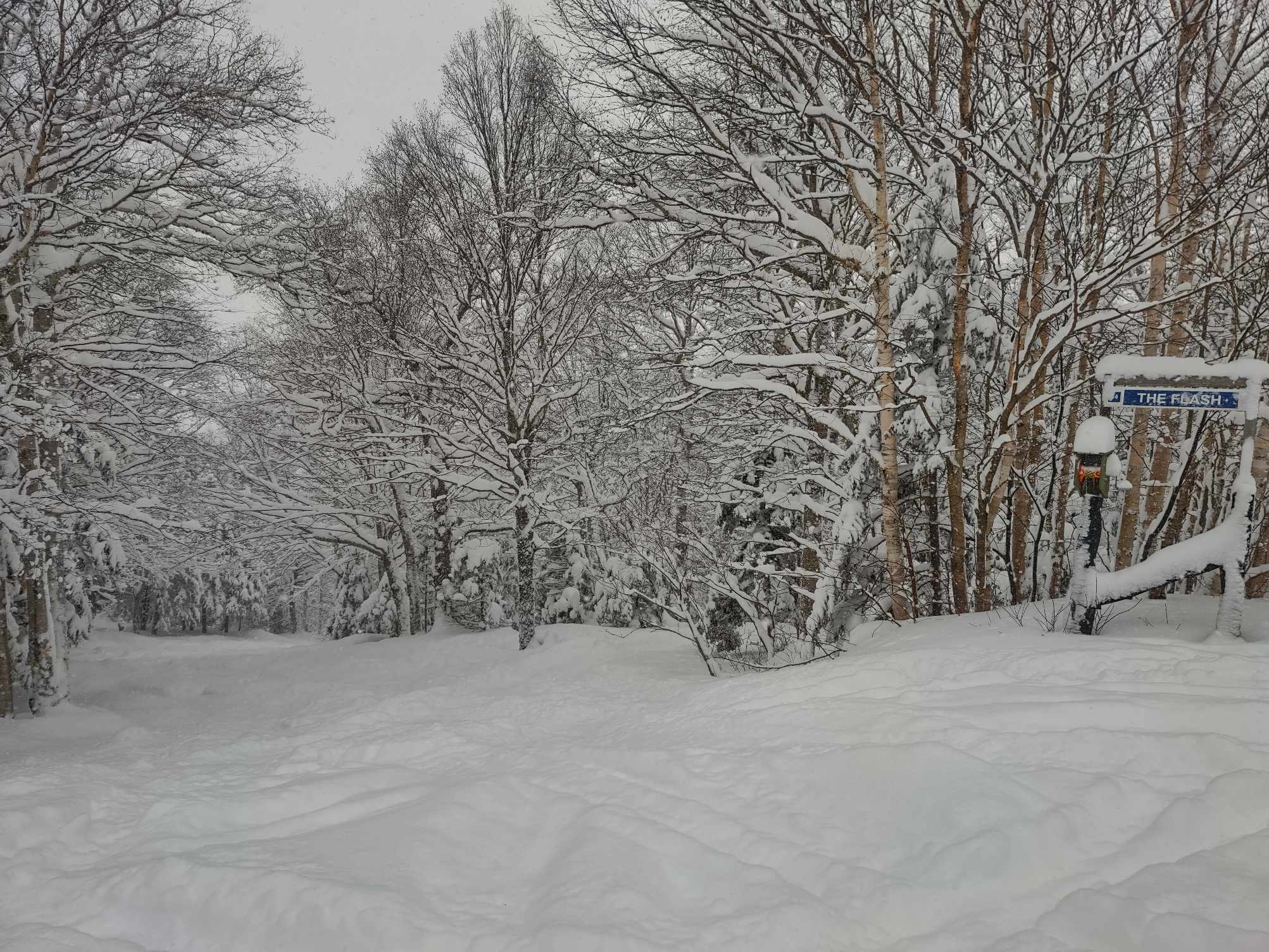 301 Moved Permanently