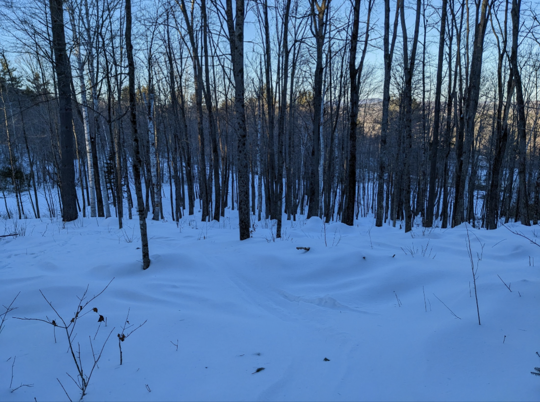 Titcomb Mountain 2022-2023 — Snowjournal 2.0